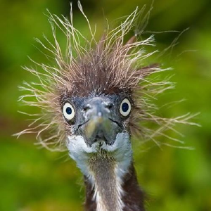 Look — 2 | Английский, как ABC!